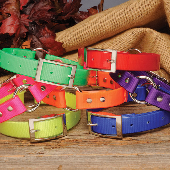 Day Glo Collar Lead